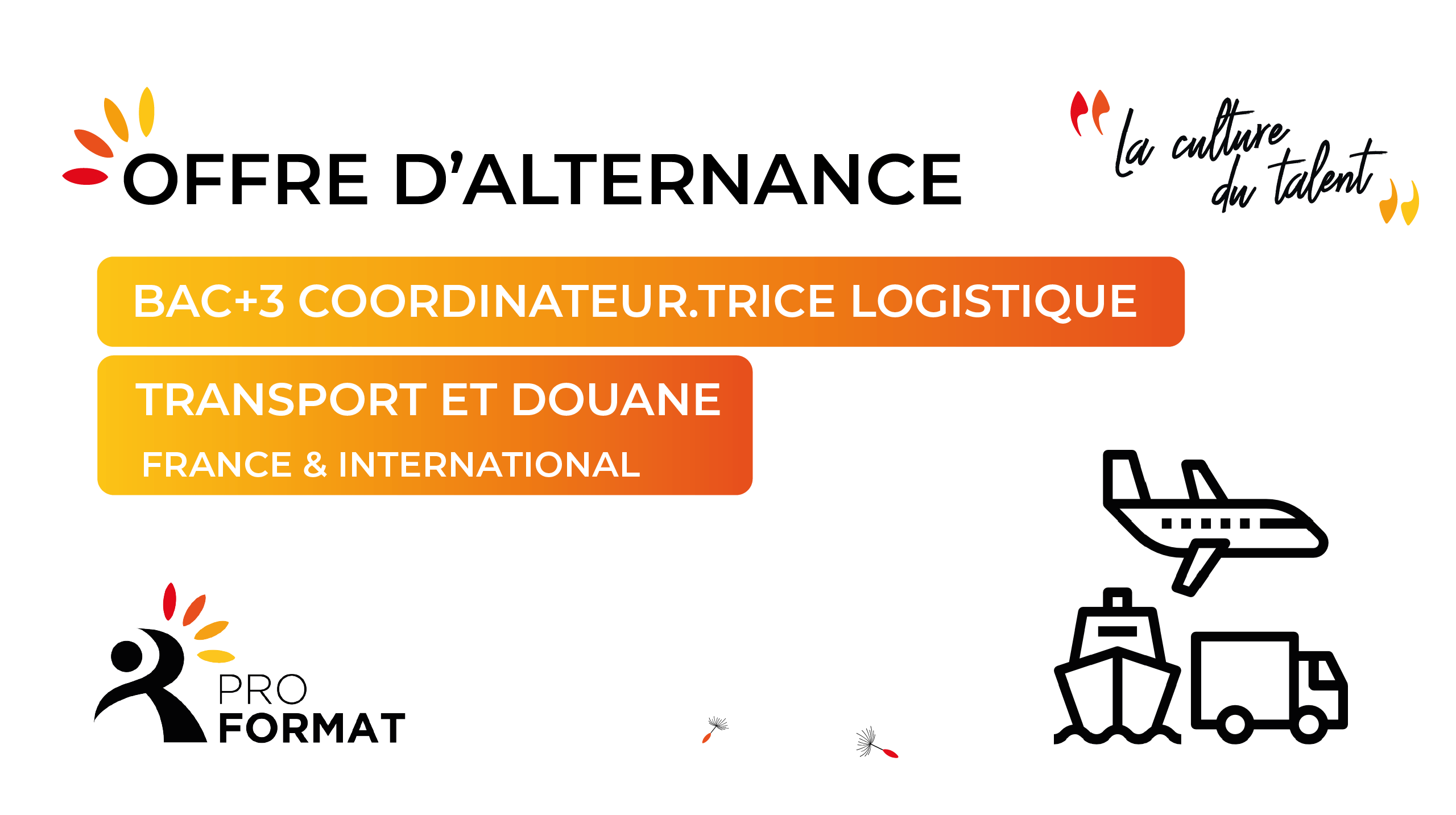 Coordinateur logistique en BAC +3 en alternance | Pro Format Mulhouse, Alsace