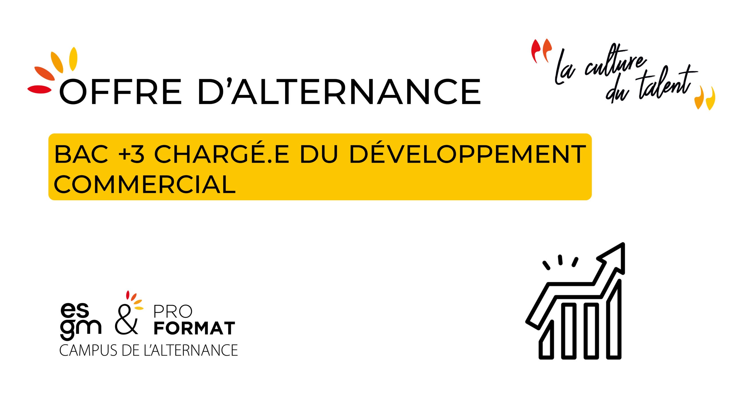 RESPONSABLE DU DEVELOPPEMENT COMMERCIAL JUNIOR H/F | Pro Format ... RESPONSABLE DU DEVELOPPEMENT COMMERCIAL JUNIOR H/F | Pro Format ...